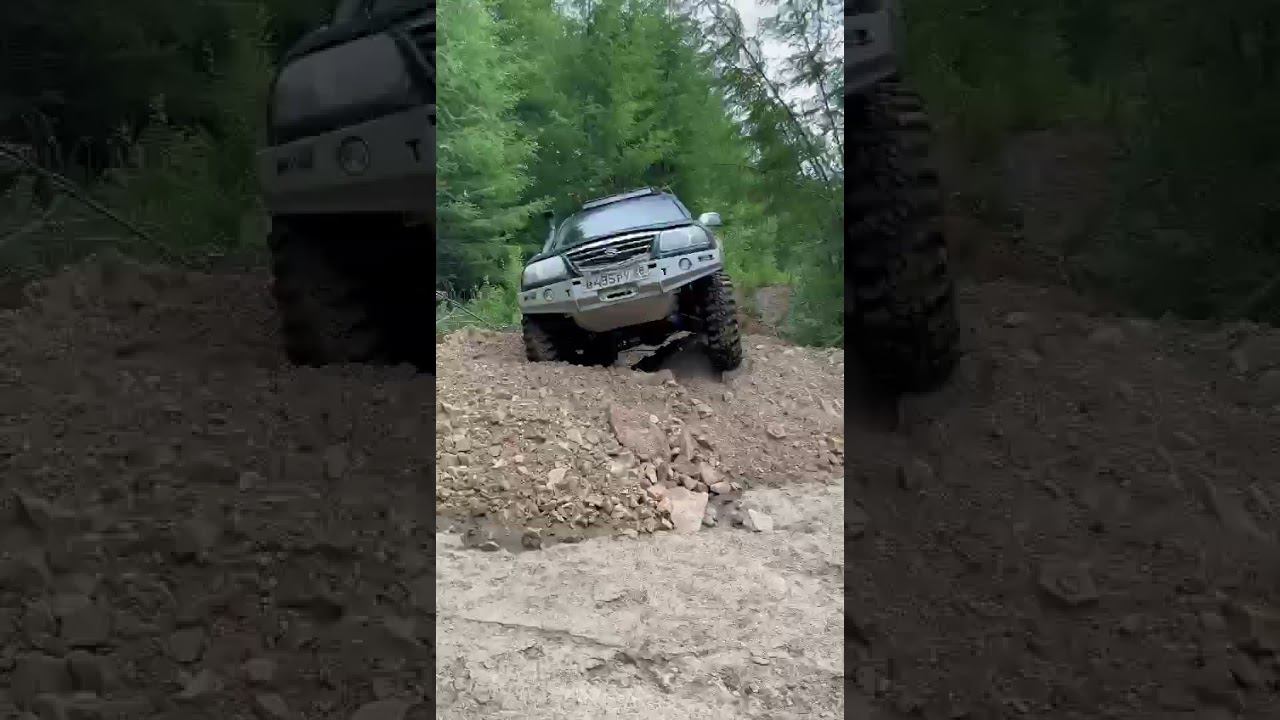 Сузуки сила