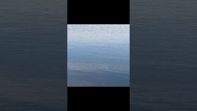 Открытие по мирной.