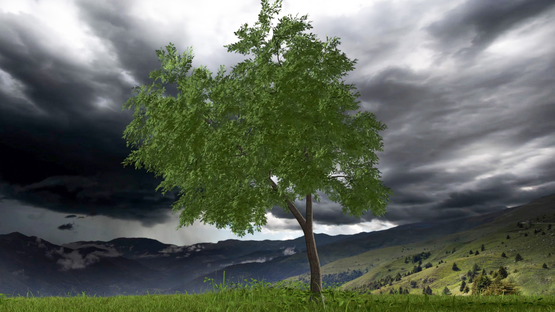 Младић и дрво