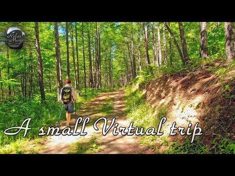 Расслабляющая прогулка по лесу под приятную музыку и пение птиц