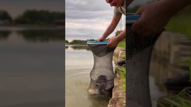 Клуб Ихтиолог - Solo para ti