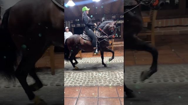 Девушка на коне