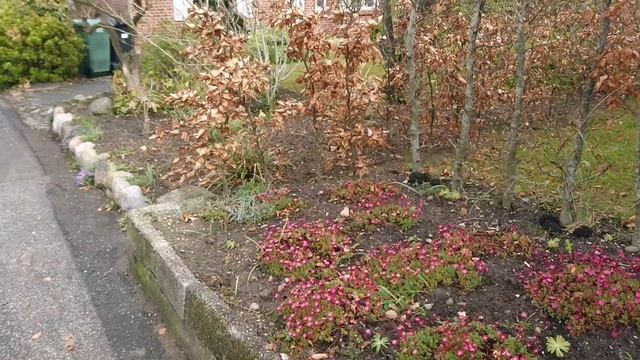 Предупреждающие сирены, Дания. 5 мая 2021, в 12:00