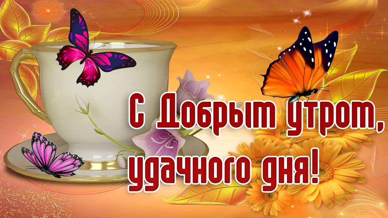 С Добрым утром!  Хорошего дня! Пусть утреннее солнышко зарядит положительной энергией на весь день!