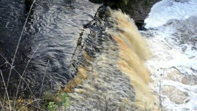 Осенние воды. Сестрорецк, речка Тосна и Саблинка, Университетский парк, СПб.