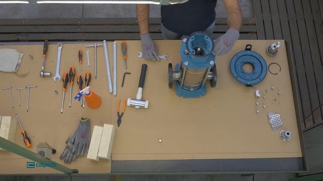 Calpeda MXV 50 / Разборка