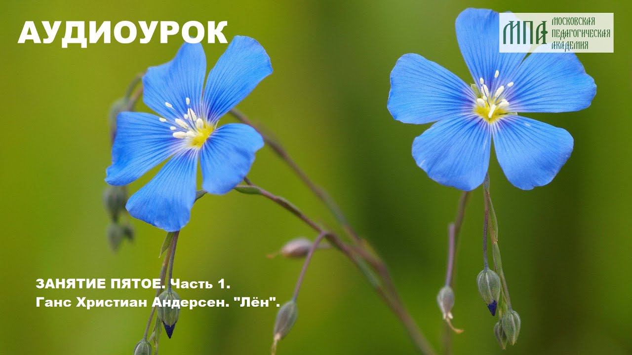 Аудиоурок Ганс Христиан Андерсен "Лён"