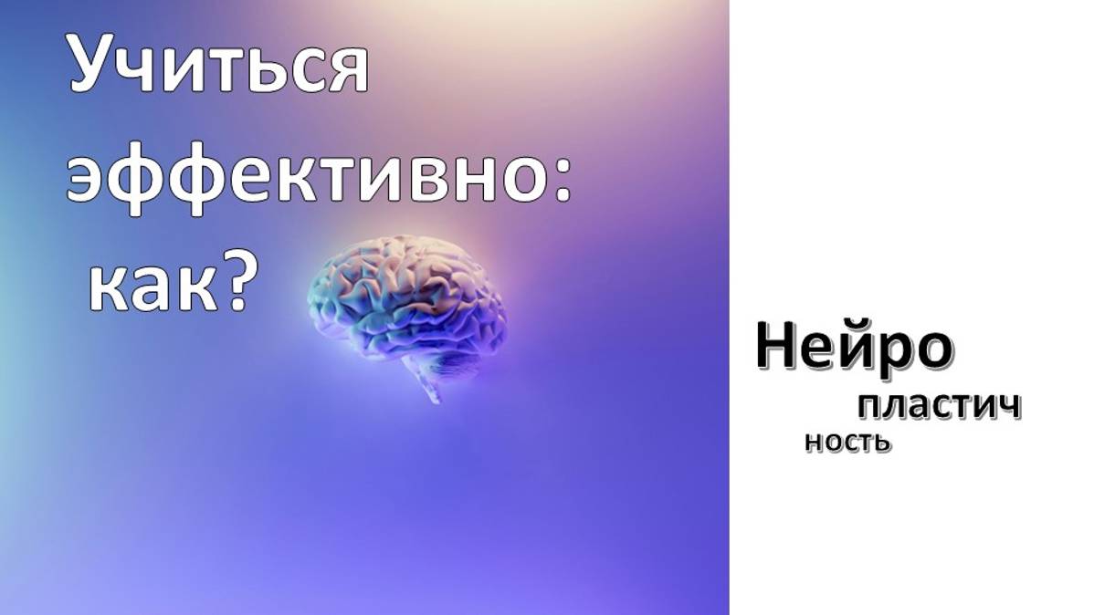 Нейропластичность и английский: как учиться эффективно?