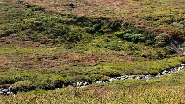 Поход на Шавлинские озёра глазами туристов. Часть 1 - конная. Путь к озёрам. Продолжение следует!