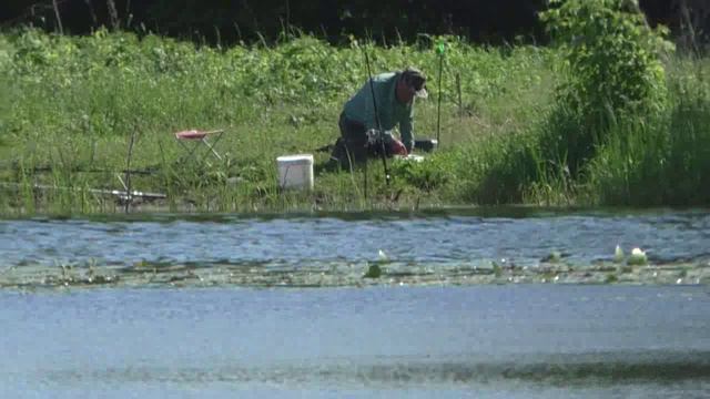 На оз. Чесноки