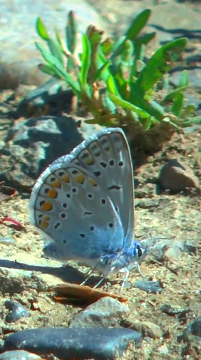 На природе летом