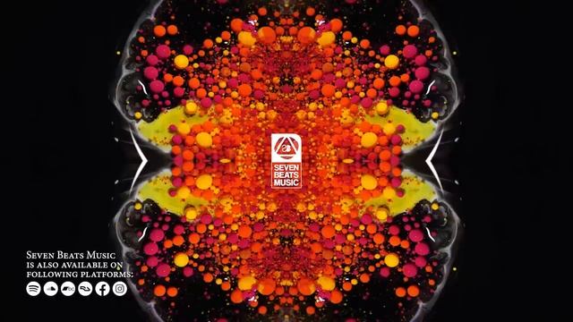 Tommy Guerrero • Manu Chao • Bonobo