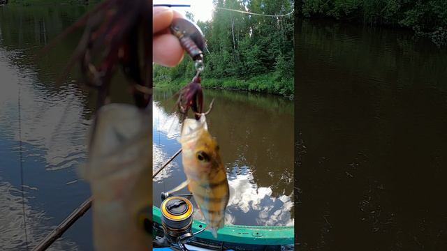 сегодняшний рекорд