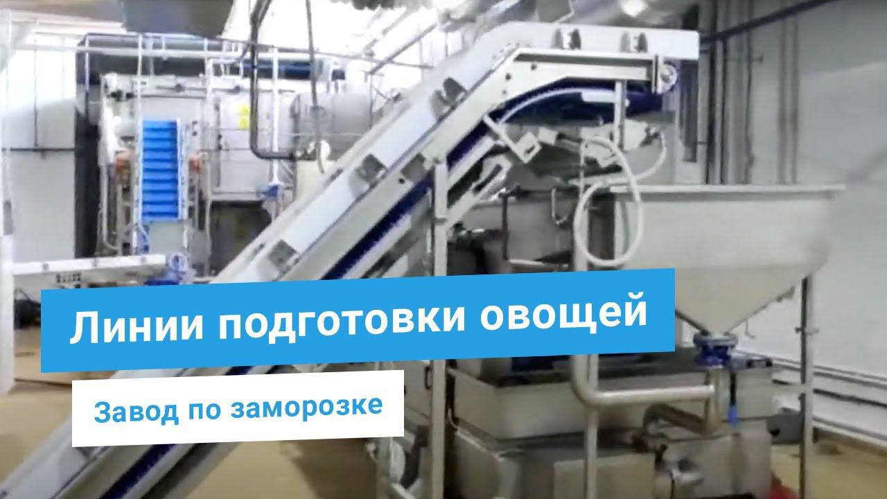 Расстановка оборудования в цехе. Линии подготовки лука, перца, брокколи, корнеполодов на заводе.