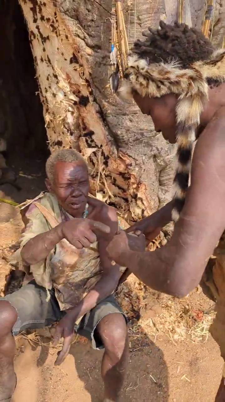 Плод баобаба являются любимым блюдом племени Хадзабе Самые экзотические блюда мира Рецепт и еда блюд