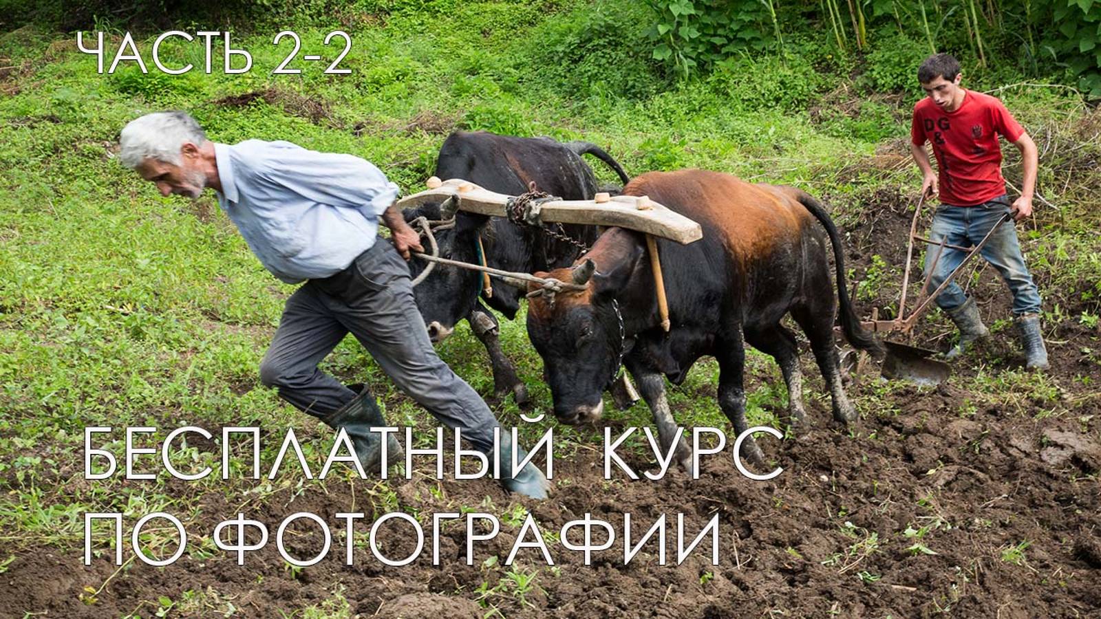 Вы не поверите, какую ошибку вы совершаете. Миф и правда о золотом сечении и правиле 2/3. Урок 2 ч.2