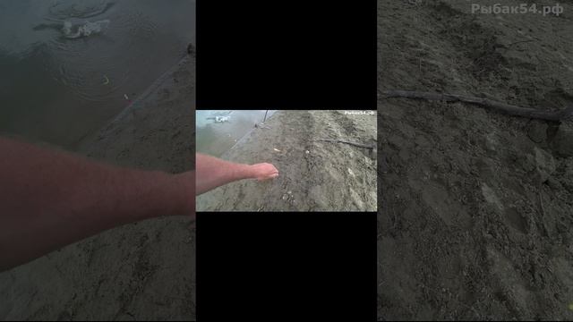 Ловим ОДИН за ОДНИМ! Василич ЖГЁТ)))))#shorts