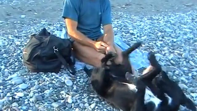 Пицунда  Банкет теннисистов . ...Мой полет 04 10 2006