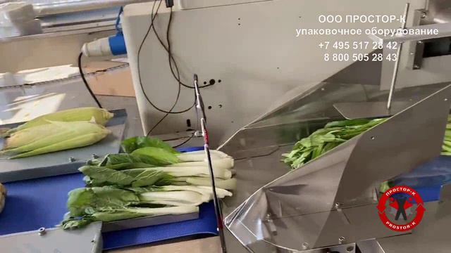 Оборудование для упаковки овощей и зелени без подложки от компании Простор-К
