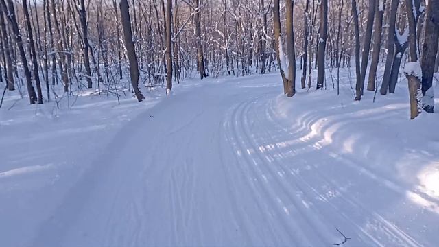 8.01.2024г. Жигулёвск. Прогулка на горе. Лыжная трасса.