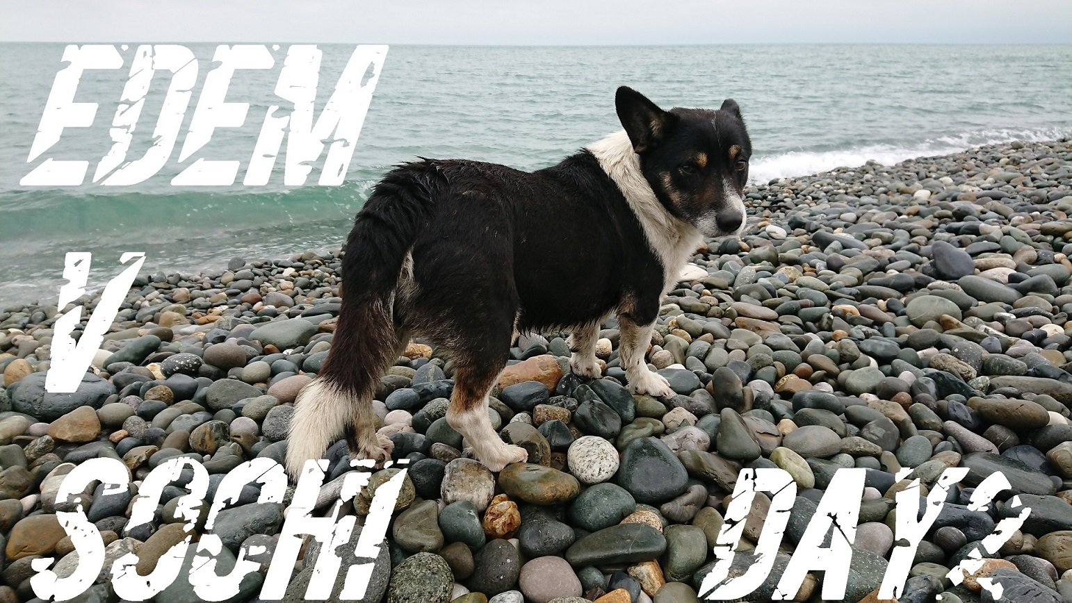 Едем в Сочи. Второй день. Собачий холод и ливень в отеле. Олимпийский парк на электро-тук-туке.