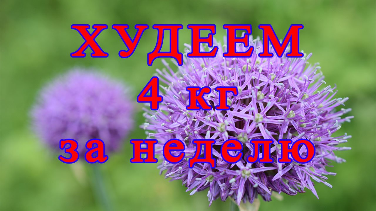 Худею 4кг за неделю. Похудение ролик 3