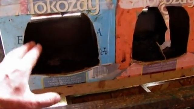 Мои импровизированные, бюджетные гнёзда для кур из картонных ящиков на скорую руку