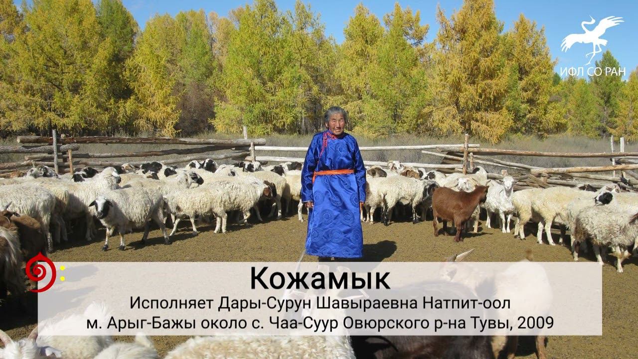 № 432. "Алдыы аалда аъттар турар" / "В нижнем аале лошади стоят" (исп. Д.-С. Ш. Натпит-оол)