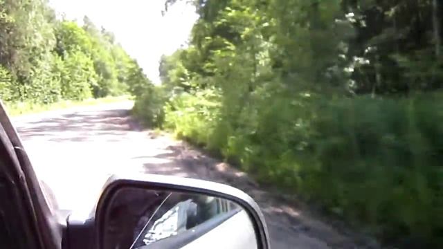 По дороге на Вологодчину.