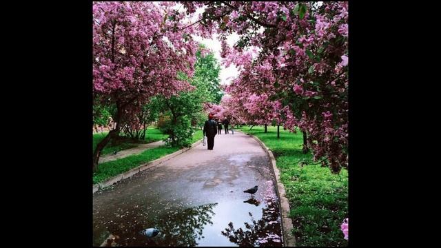 Мечтать о такой, как ты. 2-01 Татьяна Веденская