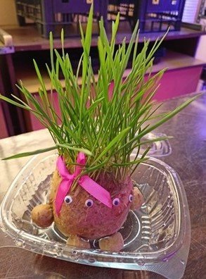 Делаем травянчик.MP4