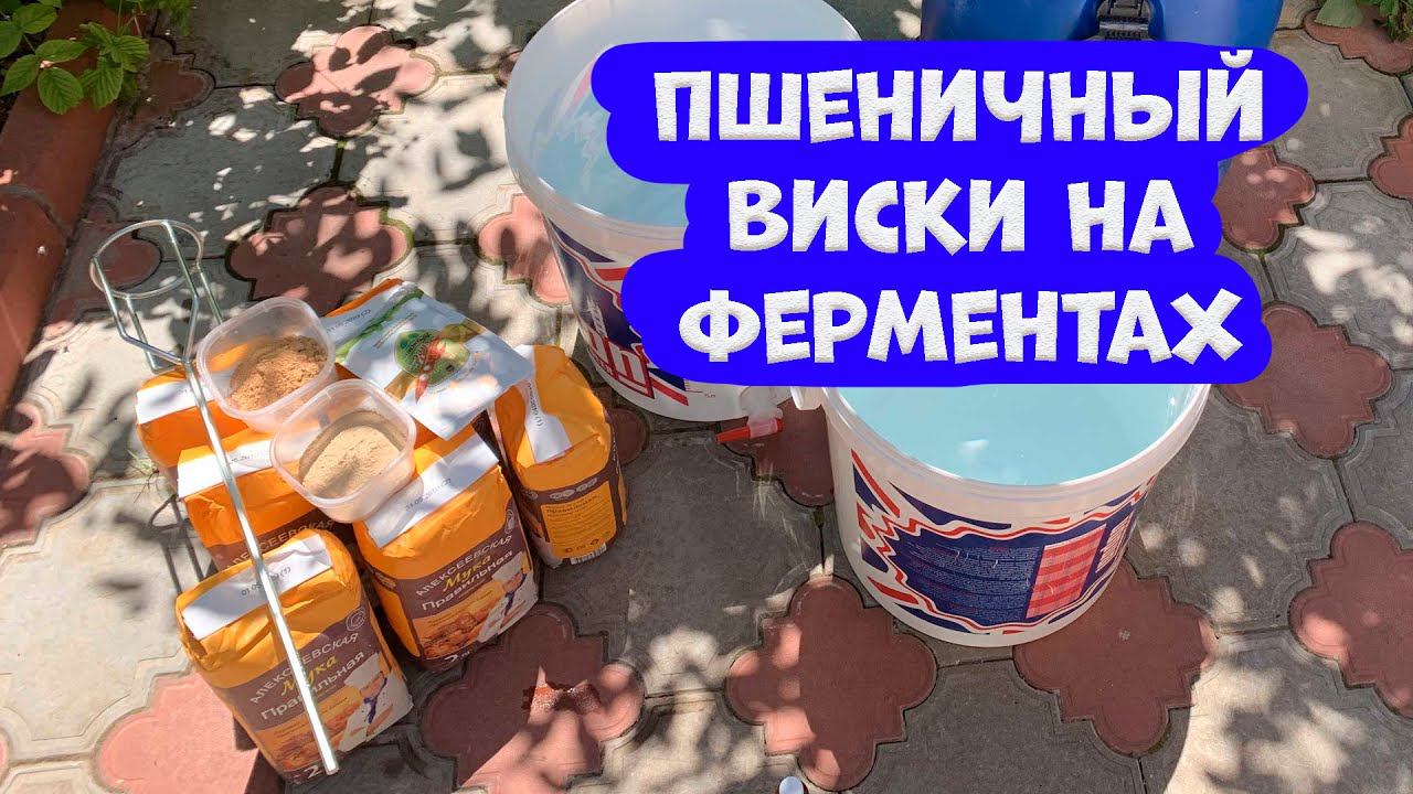 Пшеничный виски на ферментах Часть 1. Турбо дрожжи Хмельные 5075. (Люксталь 7М).