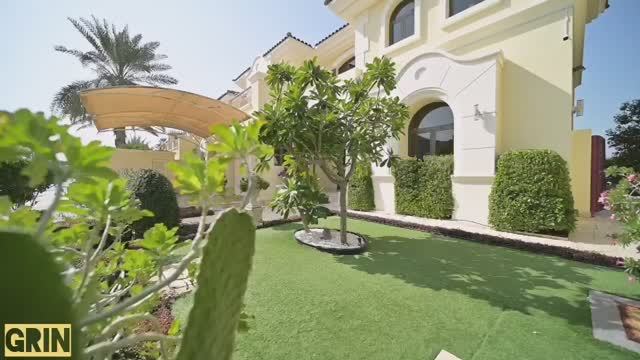 ДУБАЙ: вилла на Палм-Джумейра (6)