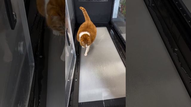 Уникальная система похудания! Ставь лайк, если веришь в него