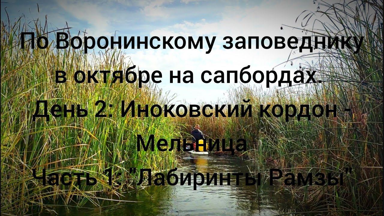 На сапбордах в октябре по Воронинскому заповеднику. День 2, часть 1. "Лабиринты Рамзы".