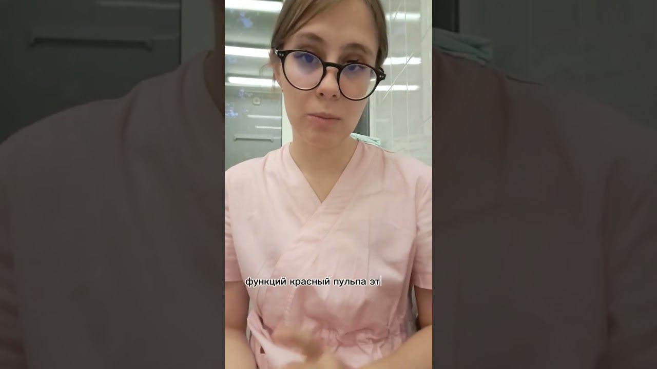 Гистология | Функции селезенки