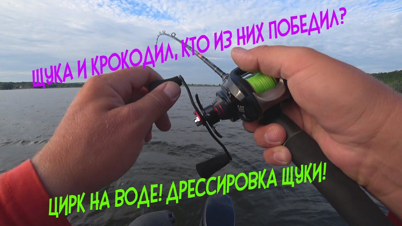 Щука в июне. От ловли щуки устали руки.