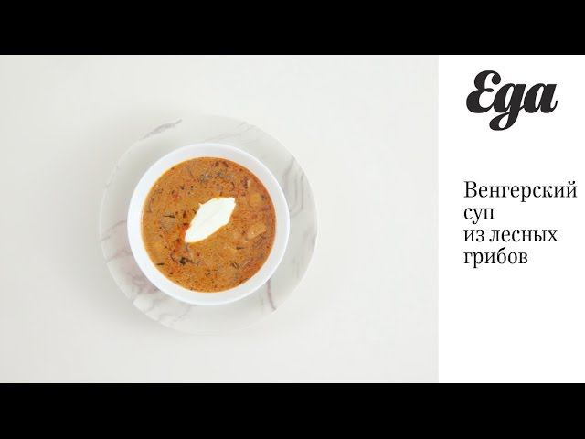 Венгерский суп из лесных грибов
