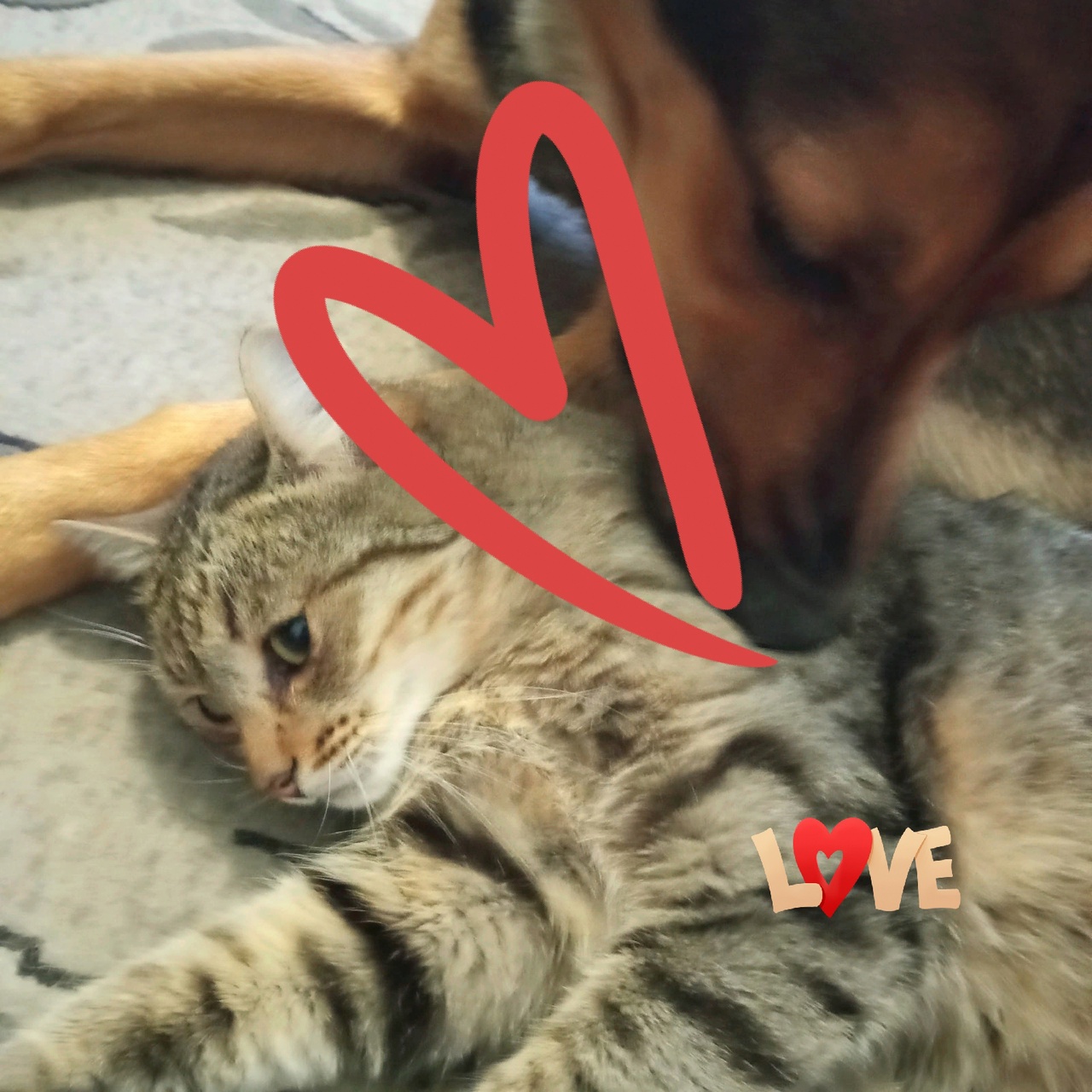 love ❤️ раннее утро