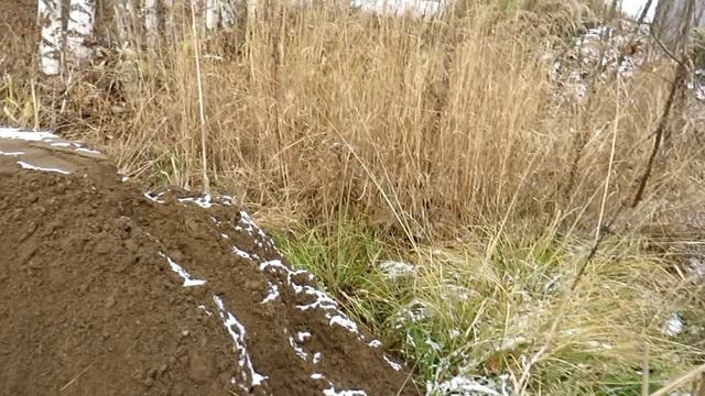 Война с соседями