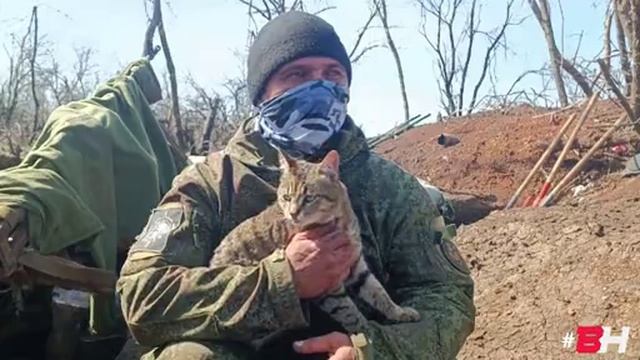 До Авдеевки уже около трех километров. Рассказ штурмовика о том, как брали новые позиции ВСУ