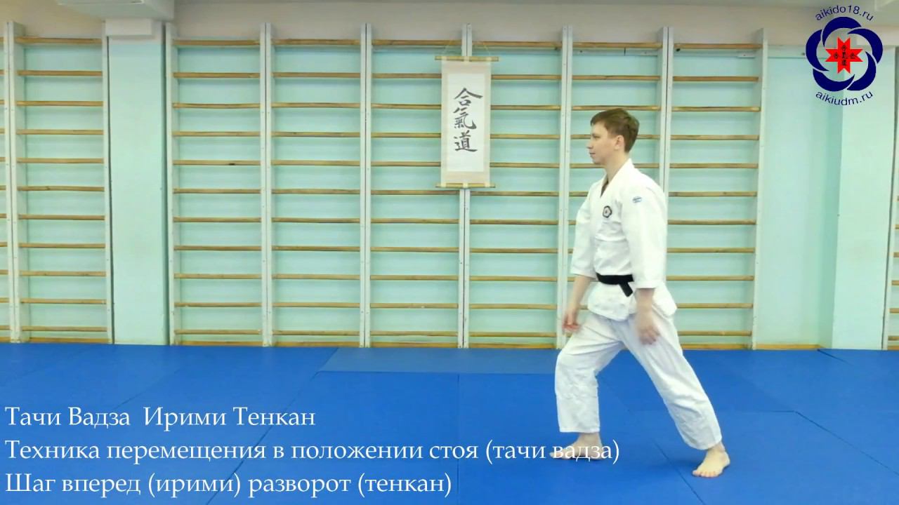 Ирими Тенкан (тачи вадза) / Передвижения Айкидо
