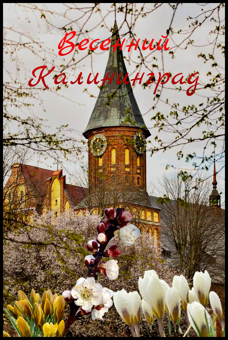Shorts ВЕСНА Калининград
#красота  #весна #калининград  #рекомендации