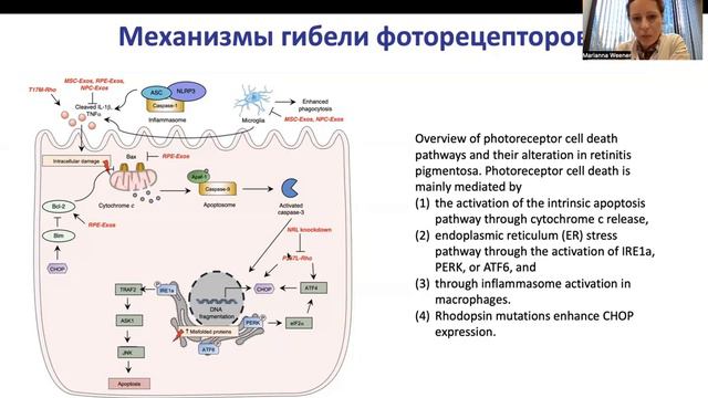 Всемирный день зрения. 12.10.2023 г.