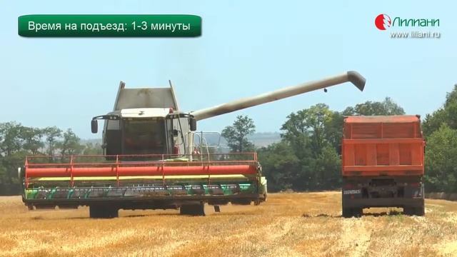 Безостановочная уборка зерна с помощью бункера-перегрузчика в ООО ЗАРЯ ДОНА (БИЗОН). Ростовской обл.