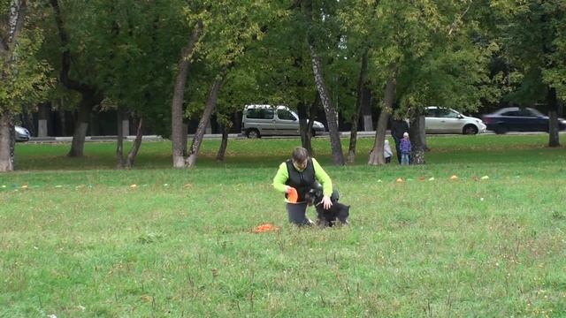 Чемпионат России Фристайл Татьяна и Чижик.mp4