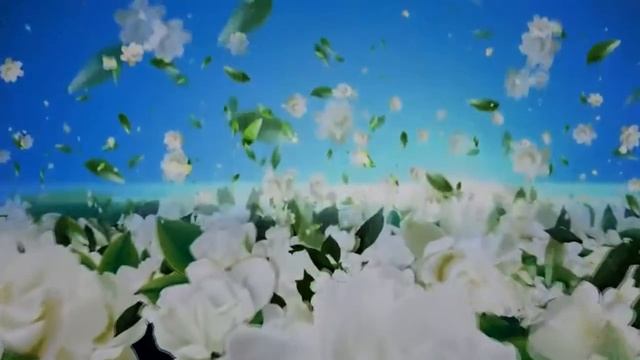 12  День России  12июня