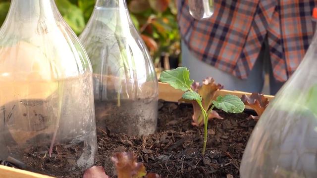 KidsBox_Level5_Unit5_CLIL_video