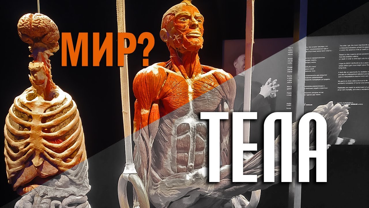 Мир тела или мир смерти на ВДНХ