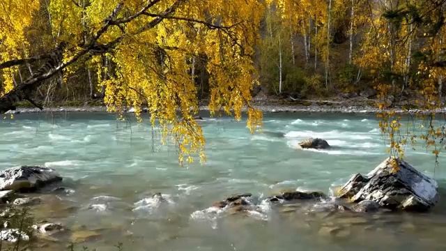 Jeremy Soule Morrowind  Peaceful Waters.mp4